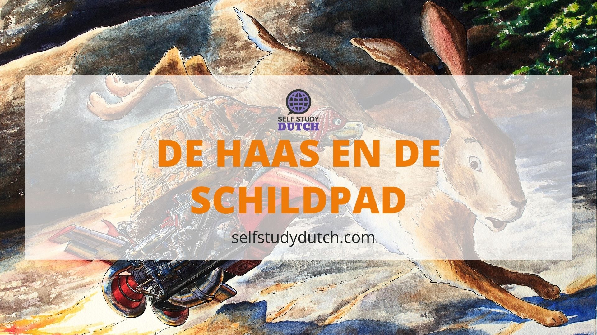 The Hare and the Tortoise - Self Study Dutch