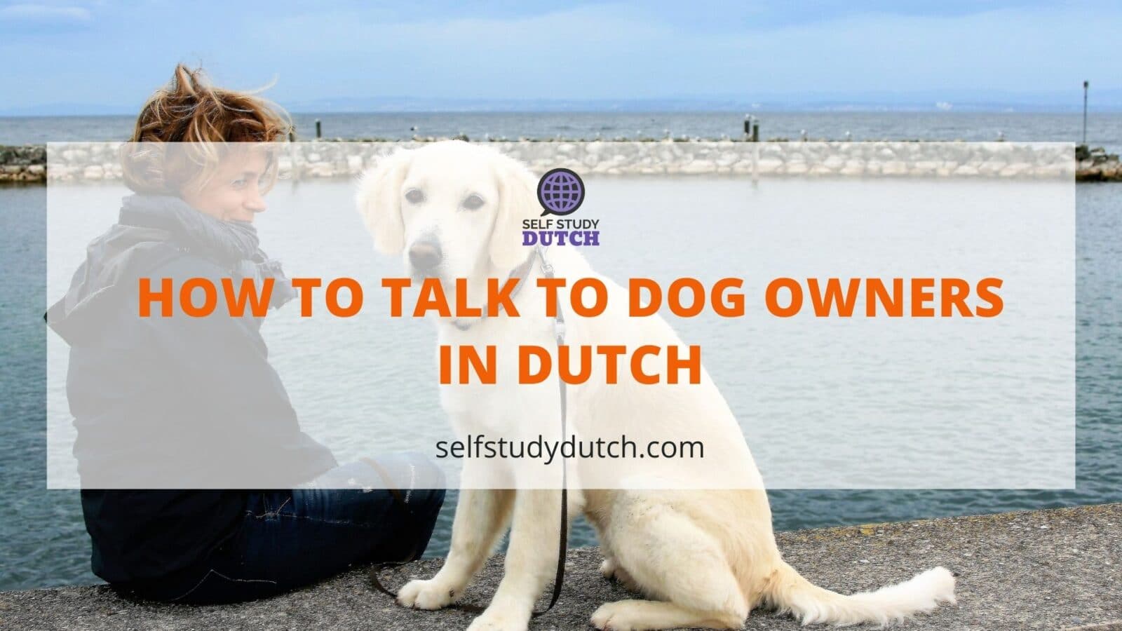 VOCABULARY Archives - Self Study Dutch